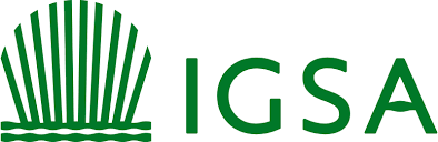 登壇ベンチャー « Morning Pitch